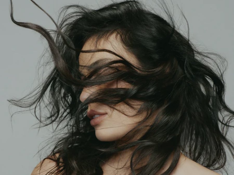 3L och Vitec Ekonomi